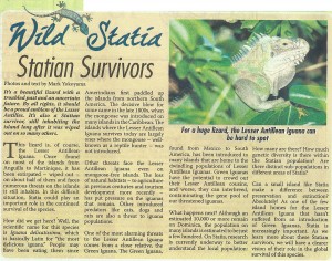 Wild Statia: Statian Survivors – Statia Wildlife